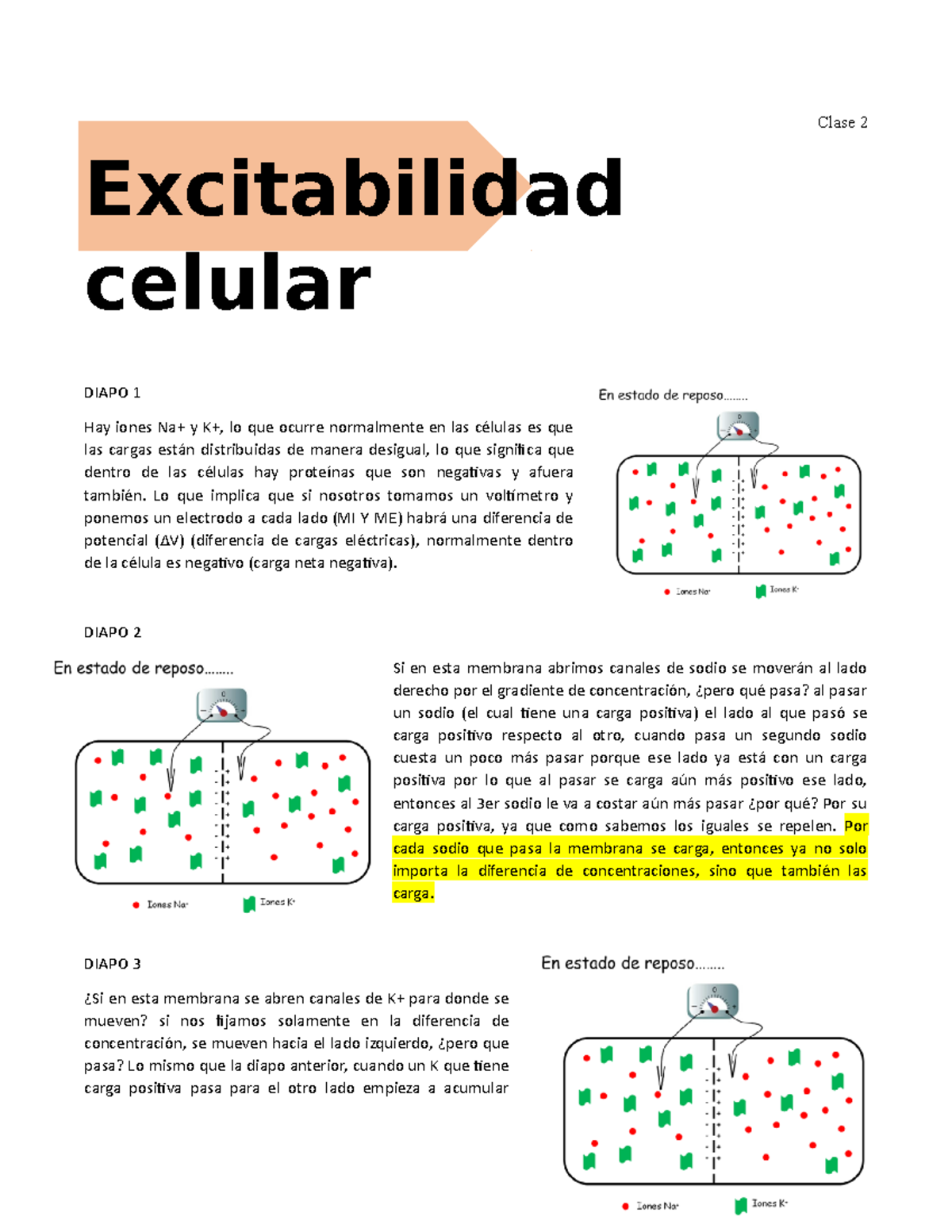 Clase 2 Fisio - Clase 2 Excitabilidad celular DIAPO 1 Hay iones Na+ y ...