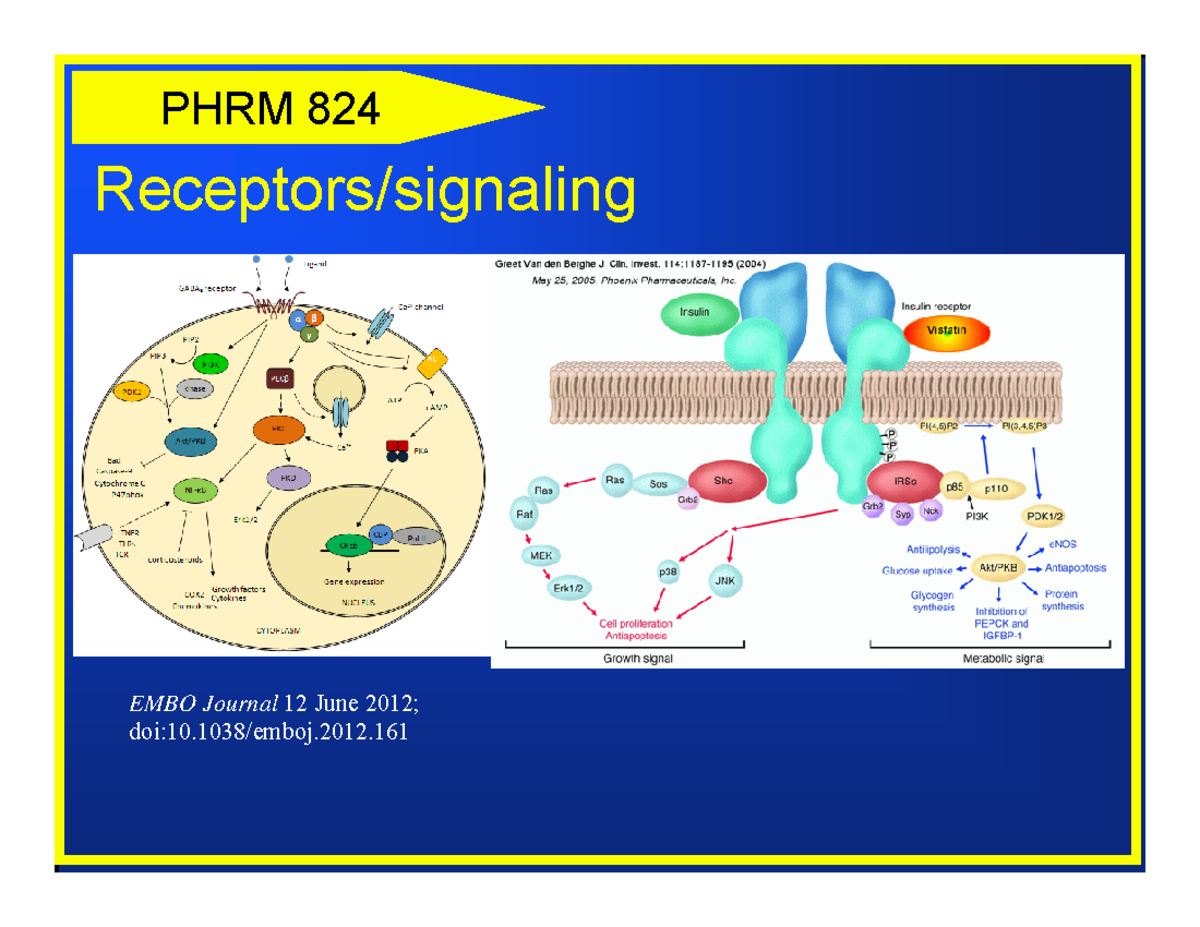 PHRM824 (set 3) Receptors and Signaling Color - Receptors/signaling ...