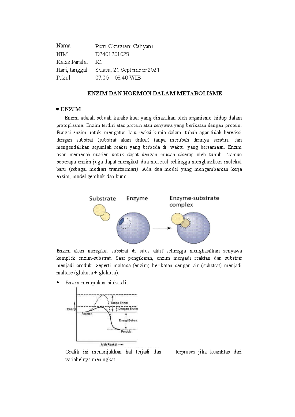 Catatan kuliah Enzim dan Hormon - Nama : Putri Oktaviani Cahyani NIM ...