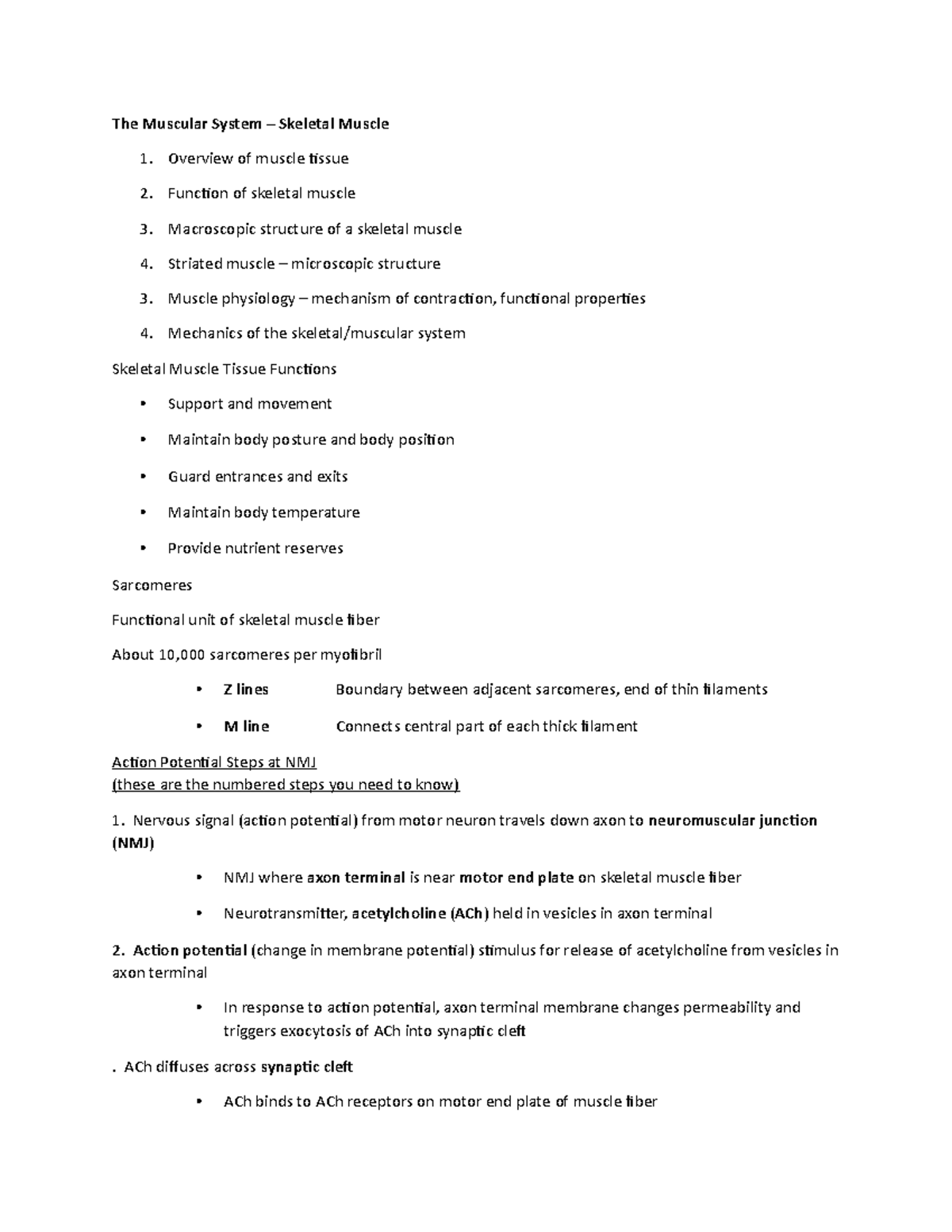 Muscle Notes - The Muscular System Skeletal Muscle 1. Overview of ...
