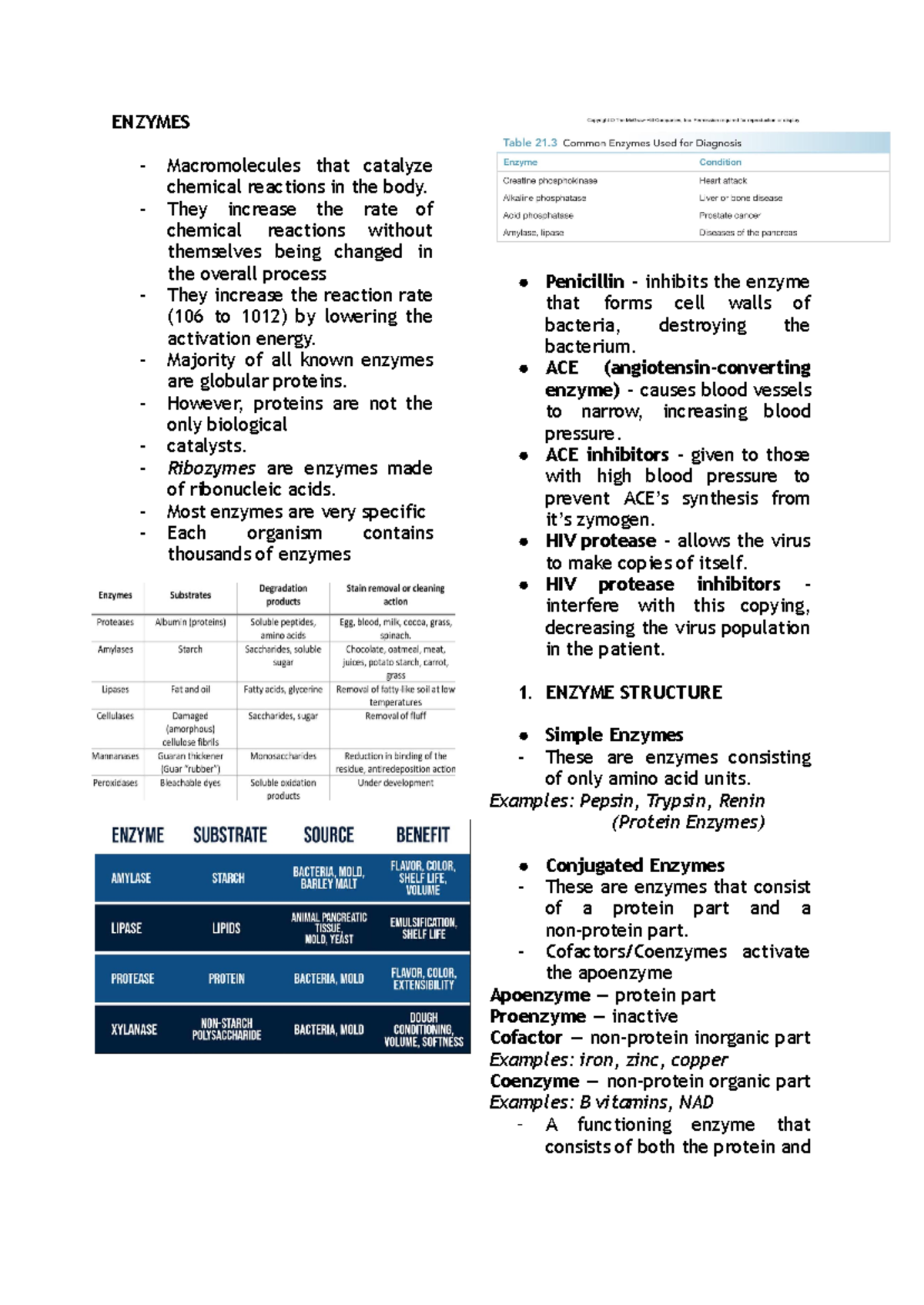 Biochem finals - Enzymes - ENZYMES Macromolecules that catalyze ...