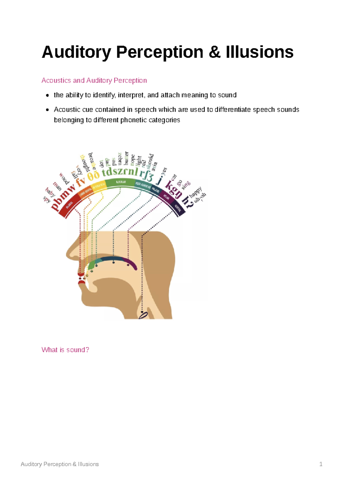 Auditory Perception Illusions - Auditory Perception & Illusions ...