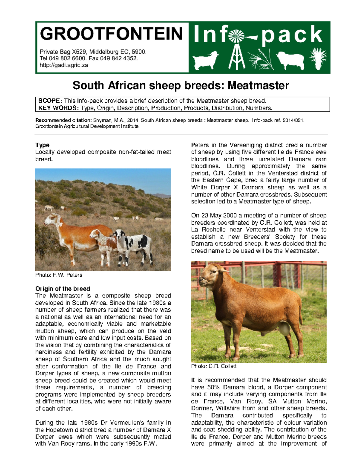 2014 021 South African Sheep breeds - Meatmaster - Copy - South African ...