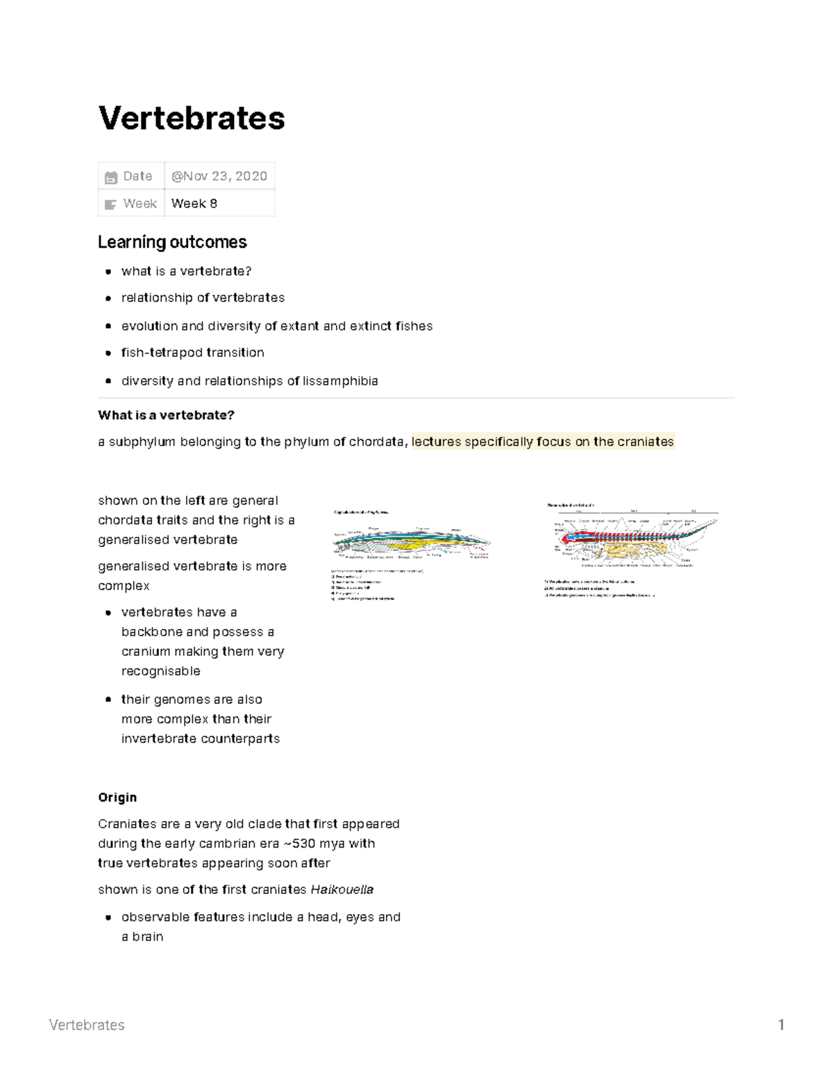 Vertebrates - Lecture notes 11 - Vertebrates Date Week Week 8 Learning ...