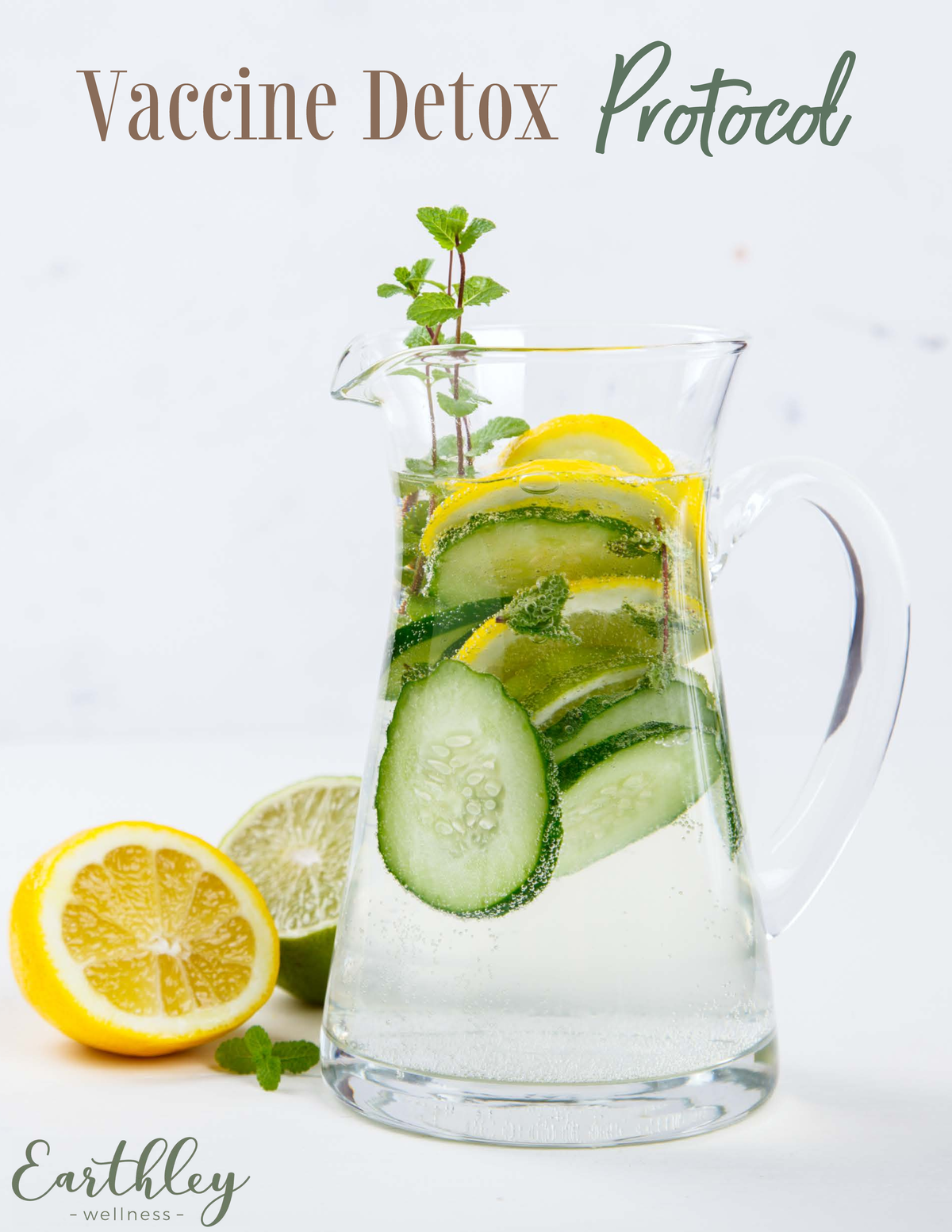 Vaccine-Detox-Protocol-Guide compressed compressed-hezjxv - Vaccine ...