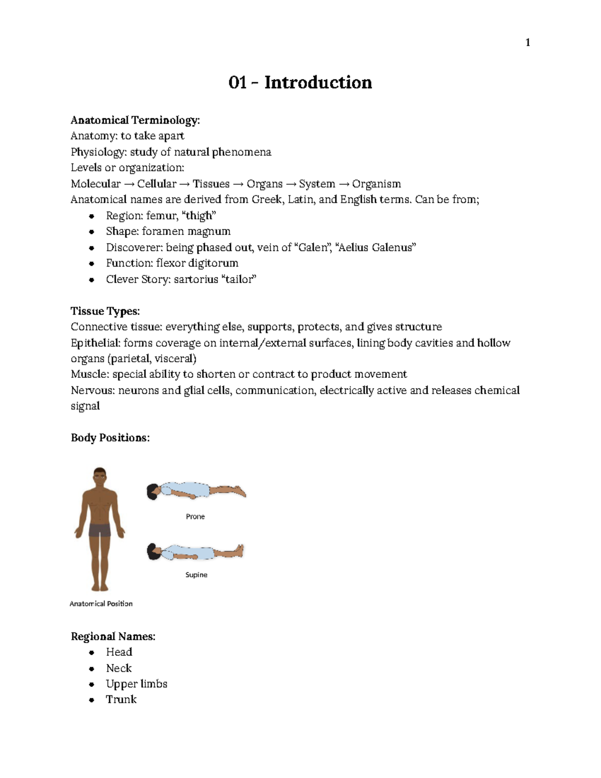 1H06 A - Human Anatomy and Physiology - 01 - Introduction Anatomical ...