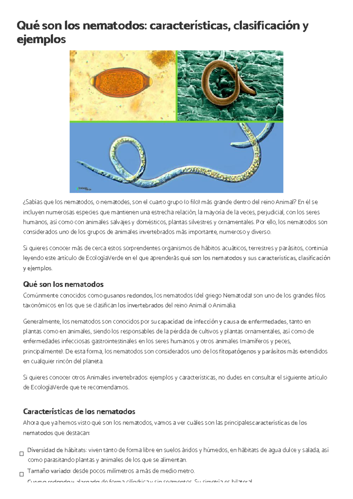 Qué son los nematodos características, clasificación y ejemplos - ecologiaverde - Qué son los ...