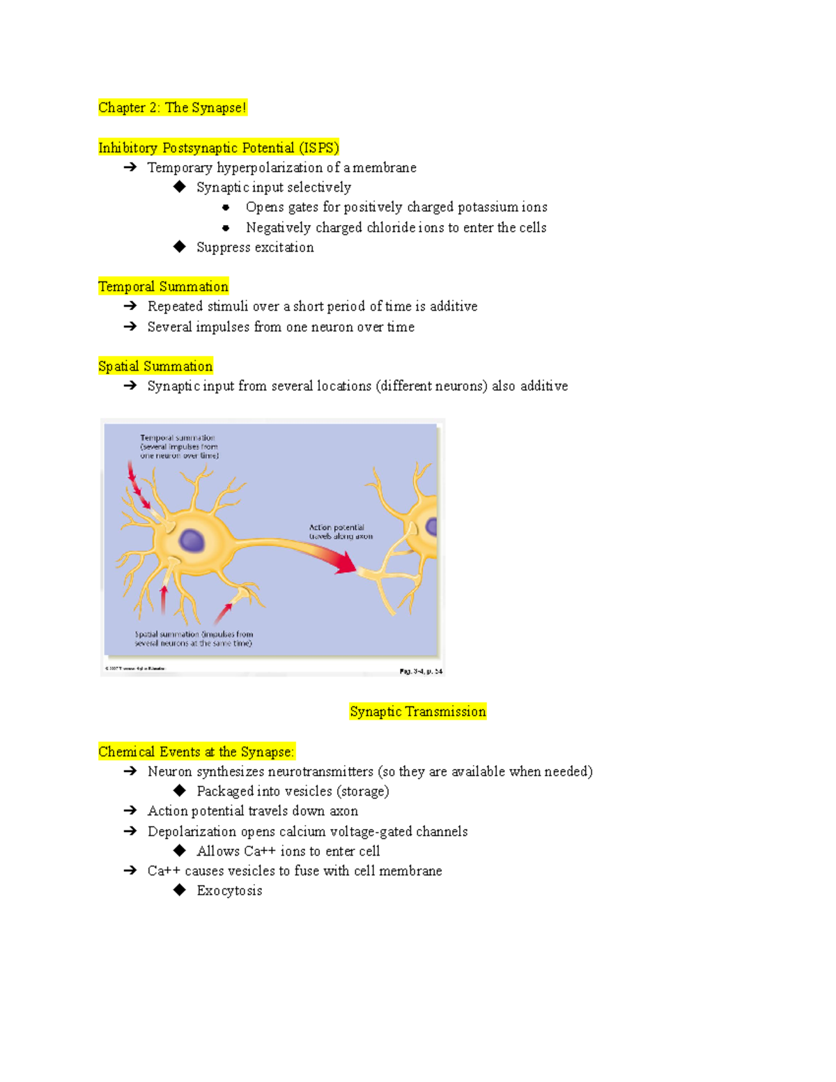 Postsynaptic Potential