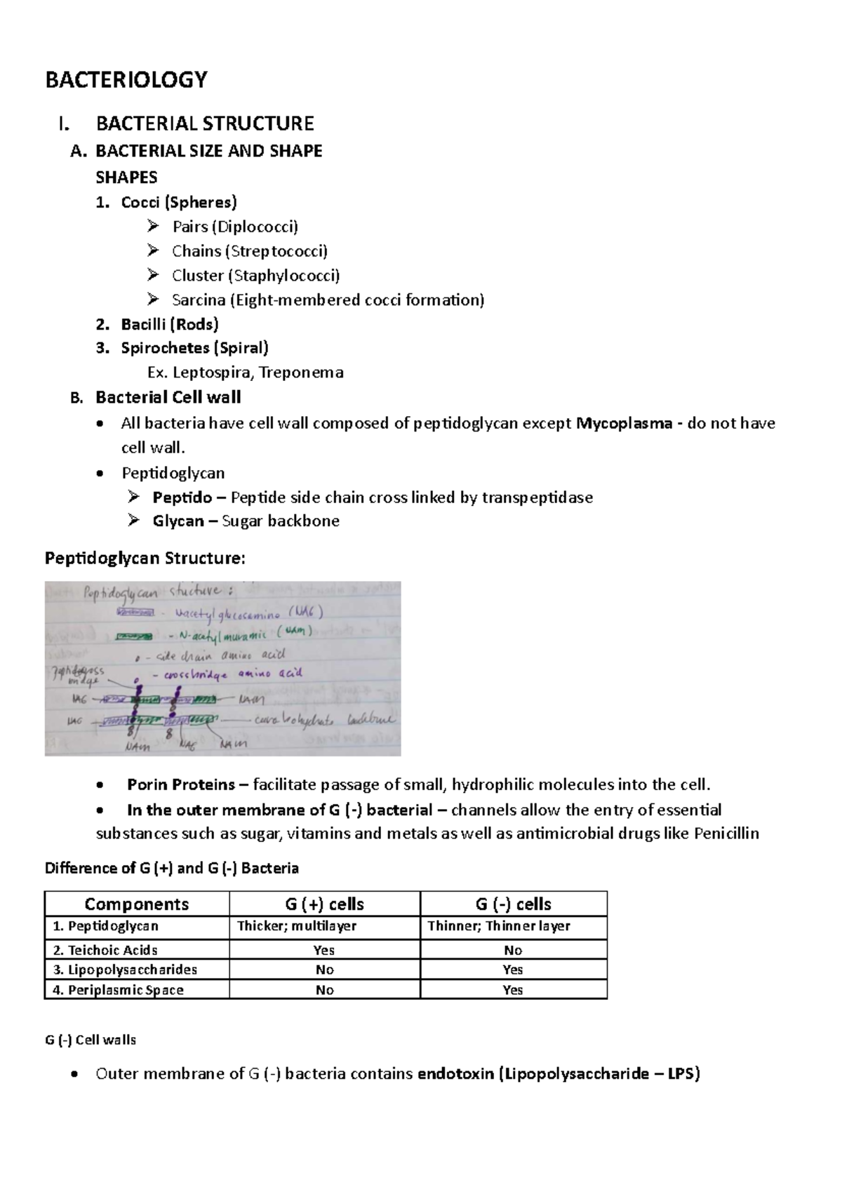 Reviewer-FOR- Micropara - BACTERIOLOGY I. BACTERIAL STRUCTURE A. BACTERIAL SIZE AND SHAPE SHAPES ...