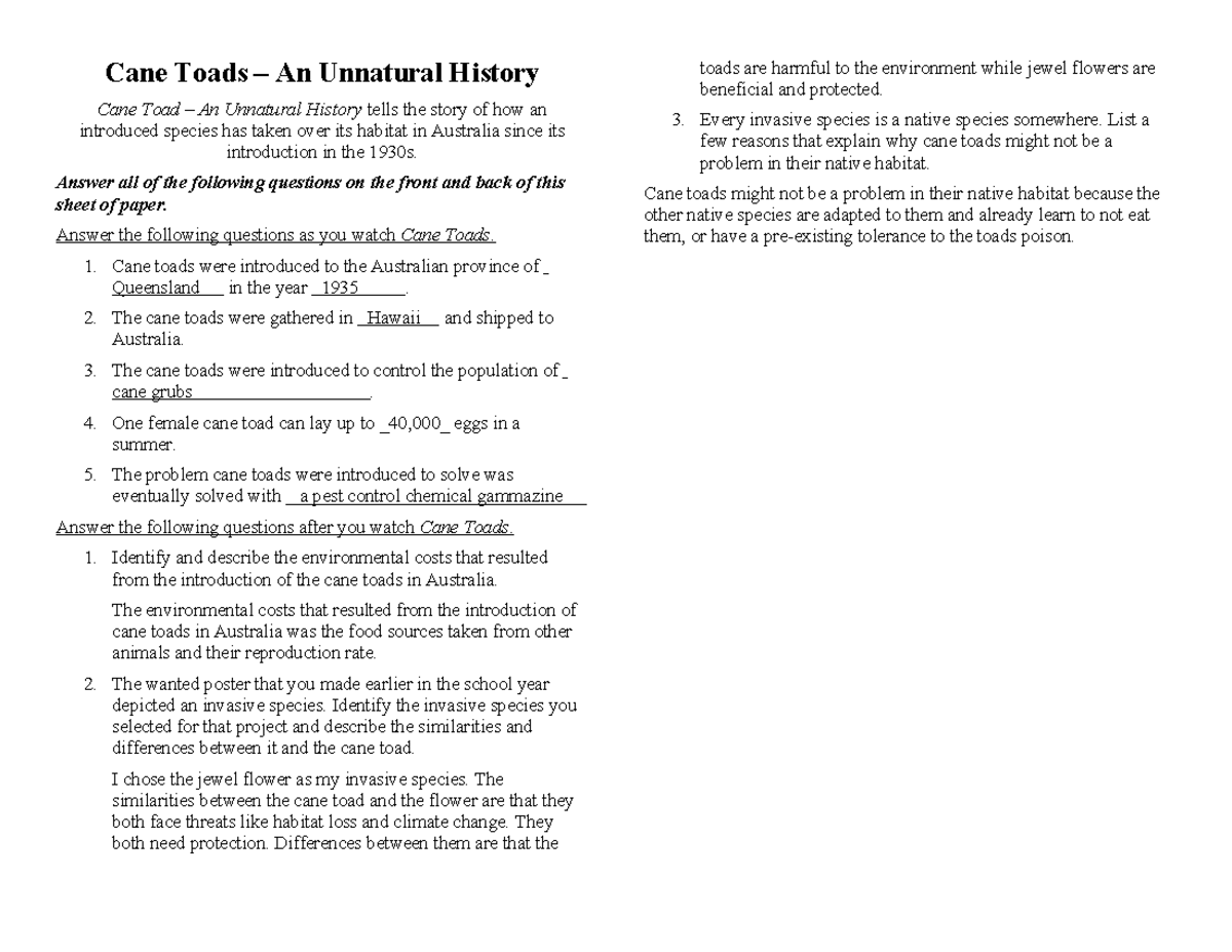 Cane Toads - jeida - Cane Toads – An Unnatural History Cane Toad – An ...