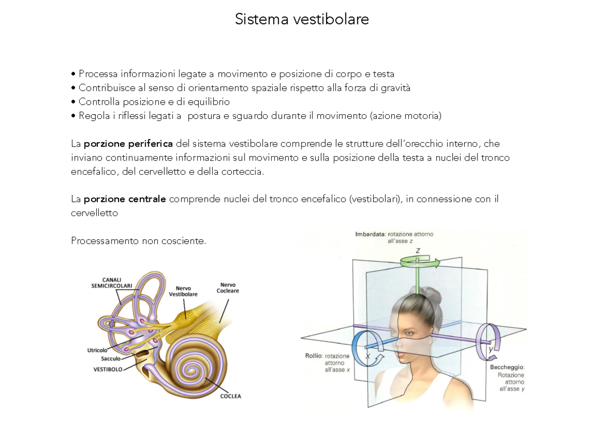 Appunti sul sistema vestibolare - Processa informazioni legate a ...