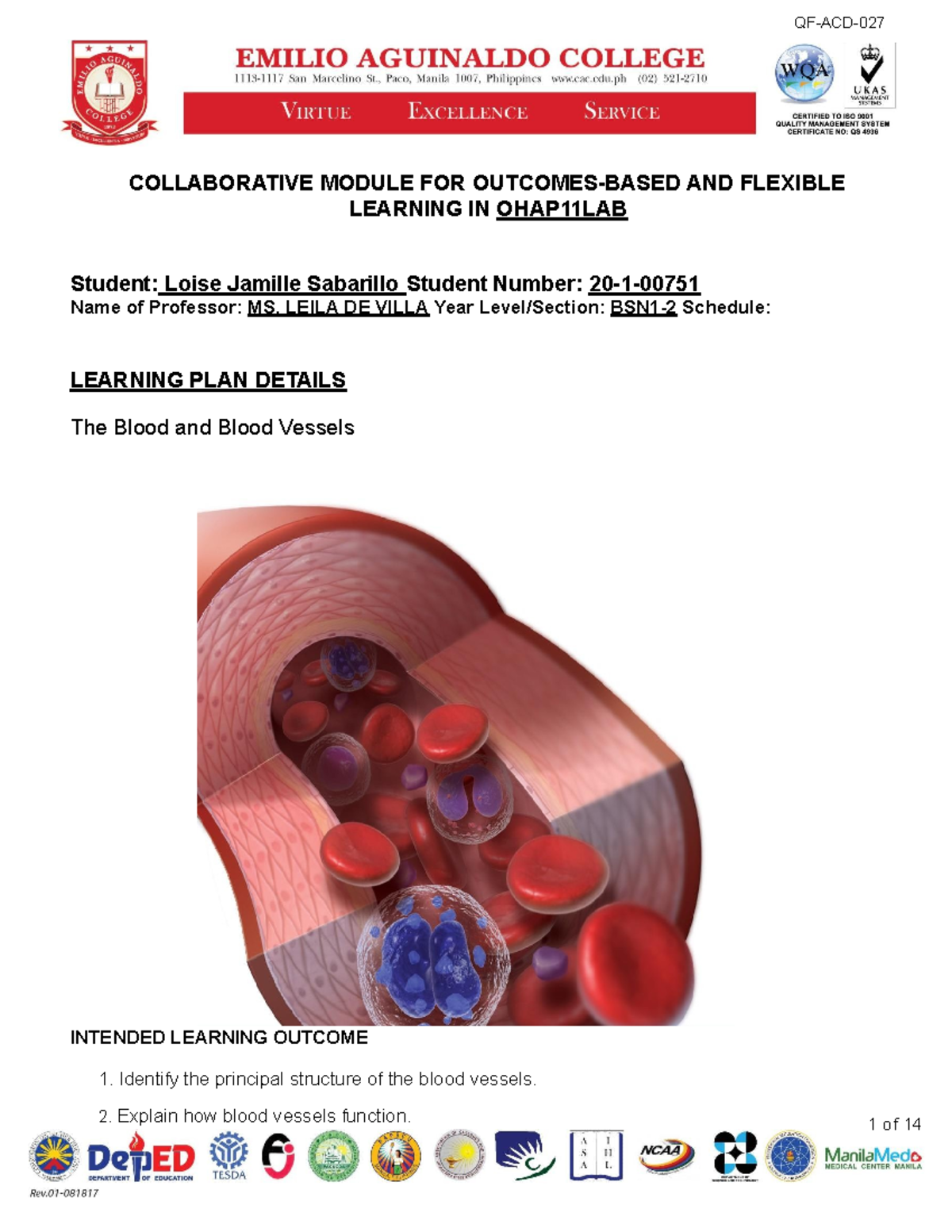 Sabarillo Module -Lab-Activity-Blood-and-Blood-Vessels - COLLABORATIVE ...