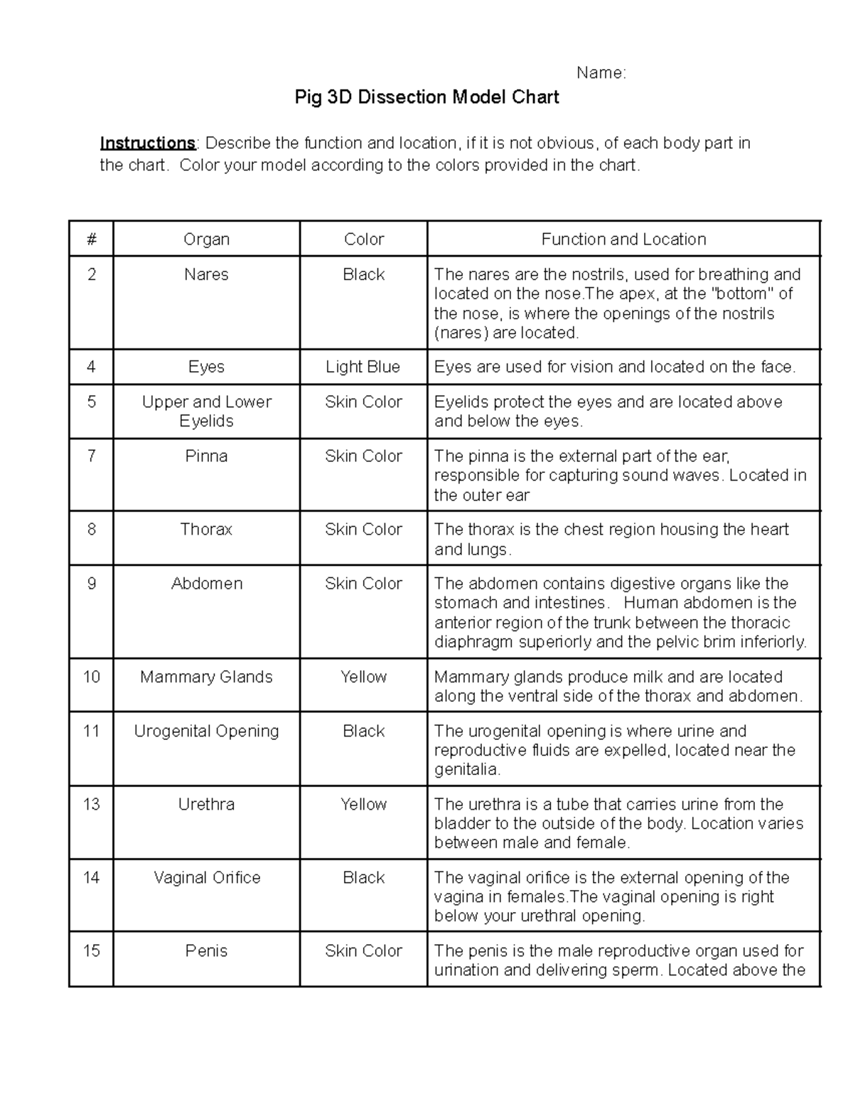 Copy of Pig 3D Dissection Model Chart - Name: Pig 3D Dissection Model ...