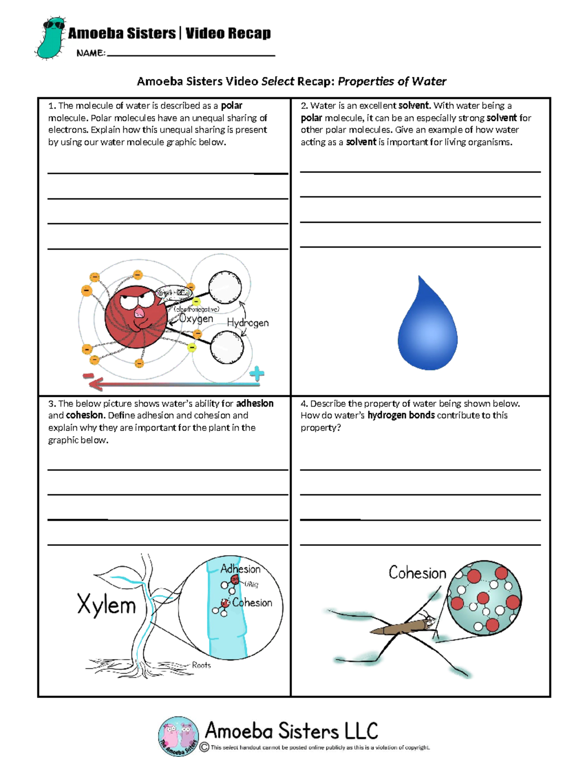 Copy of Amoeba Sisters water properties worksheet - Amoeba Sisters ...
