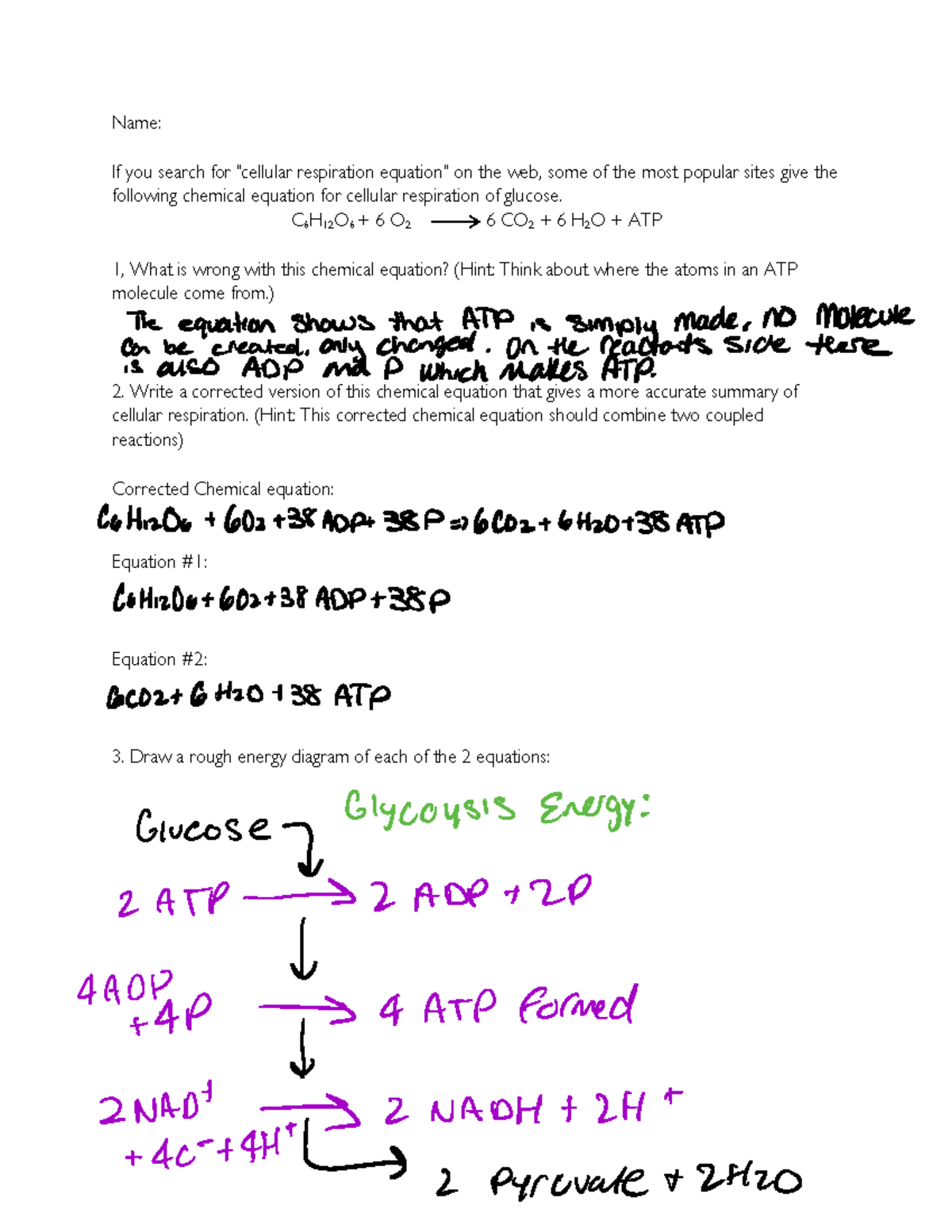 Intro+Cellular+Respiration+WS - Name: If you search for "cellular ...