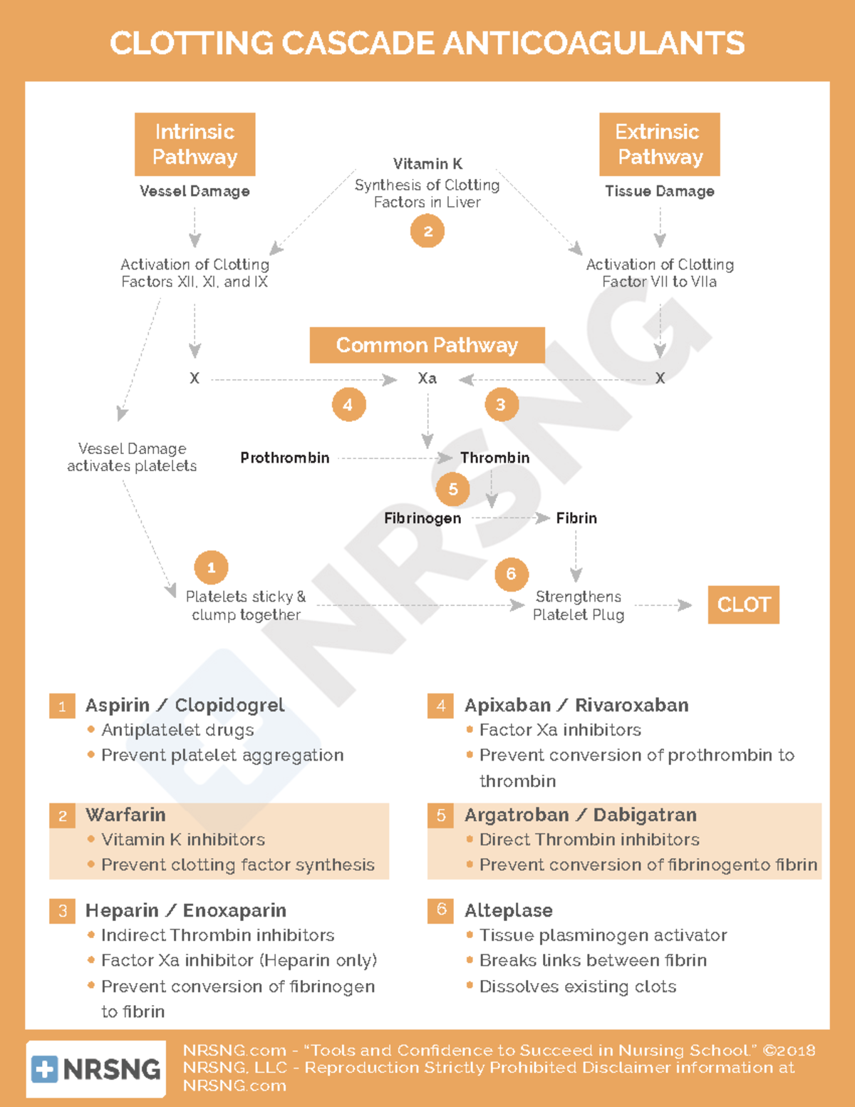 Cs-pharm-033-clotting cascade anticoagulants - NRSNG - “Tools and ...