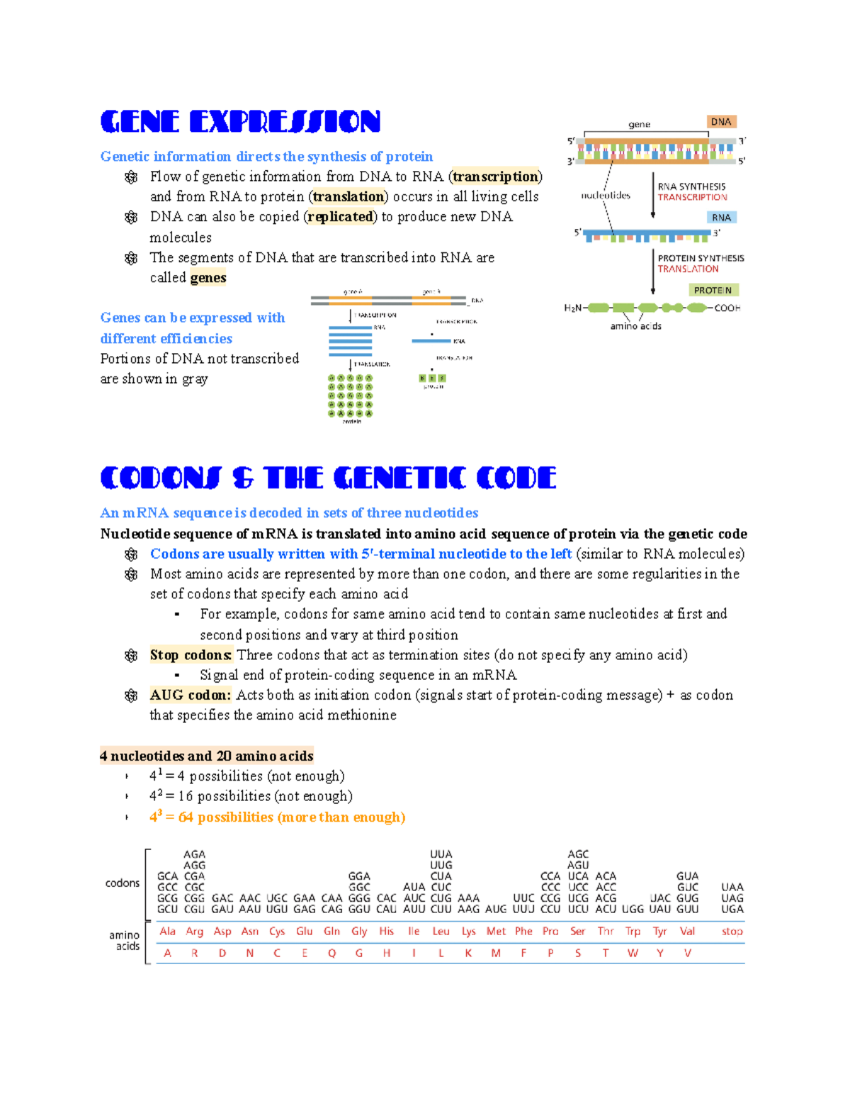Lecture 10 RNA to Protein Translation (Ch. 7) - GENE EXPRESSION Genetic ...