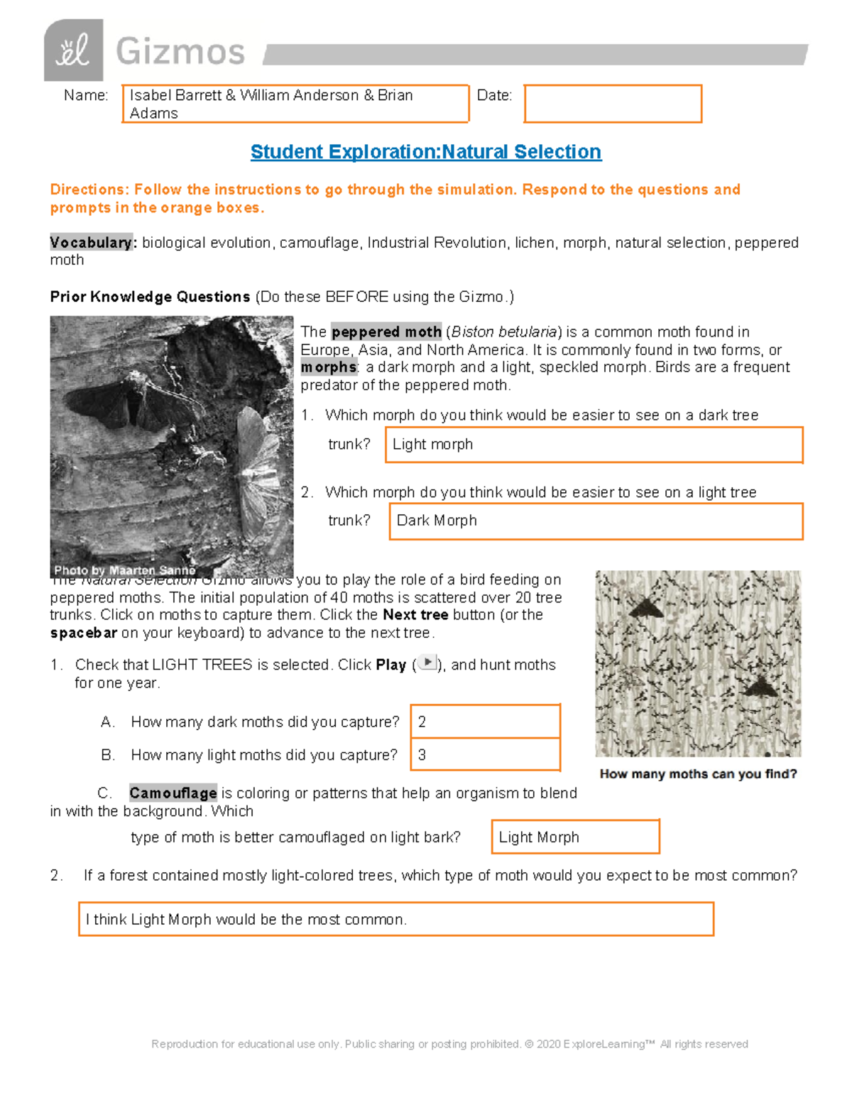 Biology Moth Gizmo - Name: Isabel Barrett & William Anderson & Brian ...