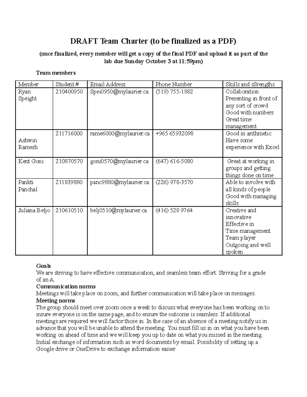 Draft Team Charter - work that i did through out the year for this ...