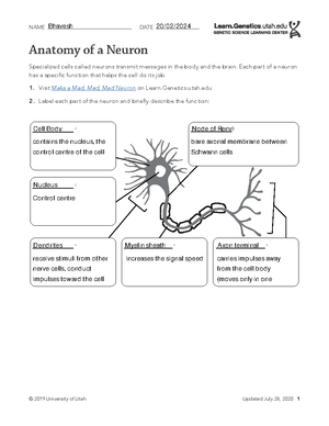Nervous System Power Point Worksheet - Nervous System PowerPoint ...