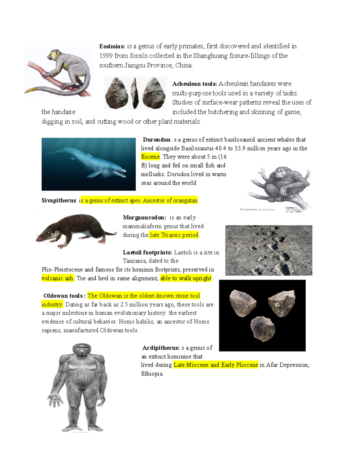 Geology final visuals - Eosimias: is a genus of early primates, first ...