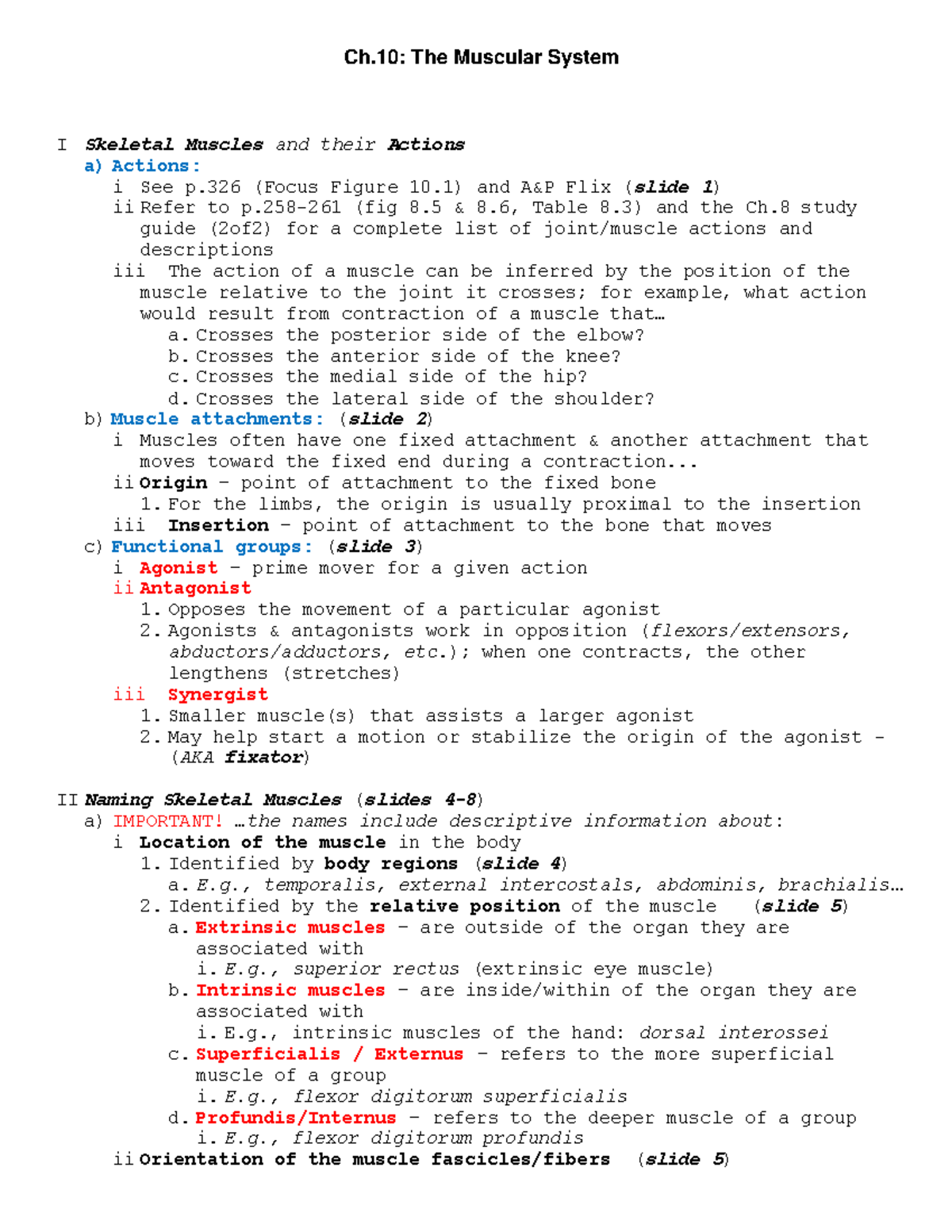 Bio430 Ch 10 Study Guide - Ch: The Muscular System I Skeletal Muscles ...
