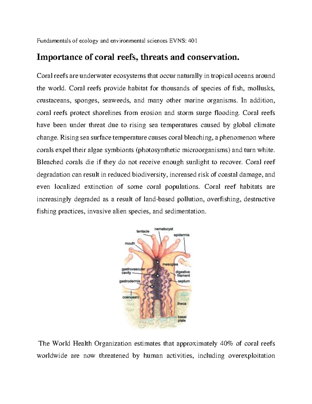 Importance of coral reefs, threats and conservation - Coral reefs are ...
