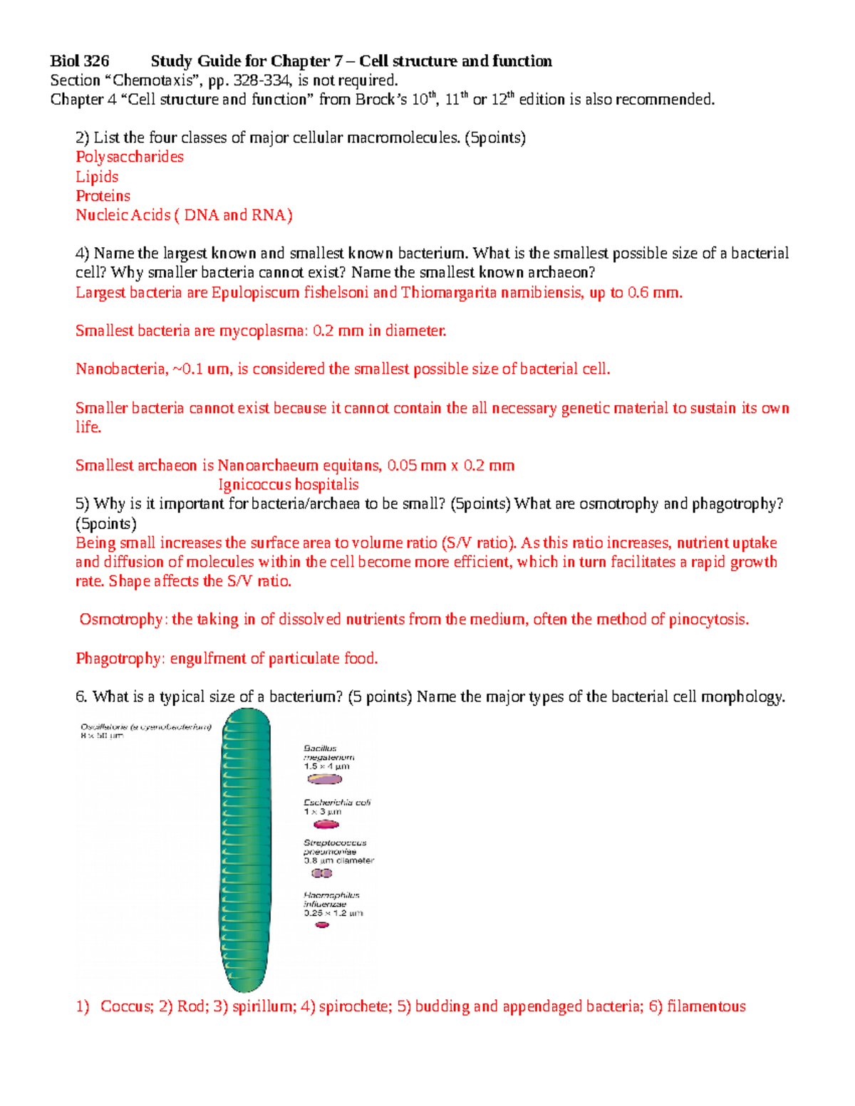 Ch 7 SGAnswer - Biol 326 Study Guide for Chapter 7 – Cell structure and ...