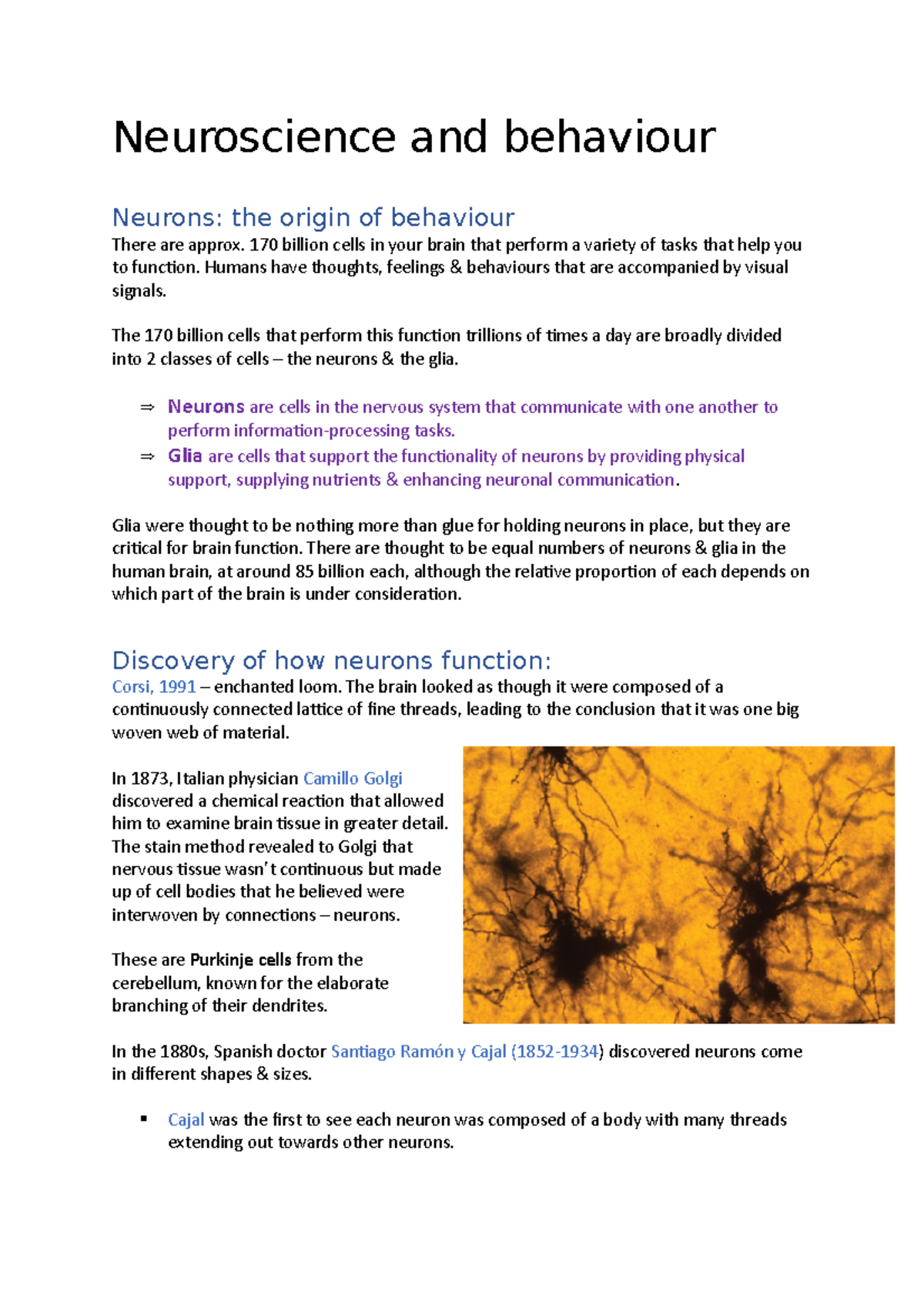 3 Neuroscience and behaviour - Neuroscience and behaviour Neurons: the ...
