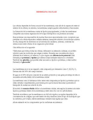 Ciclo Celular - TIPOS DE CÉLULAS Lábiles: Constantemente se renuevan ...