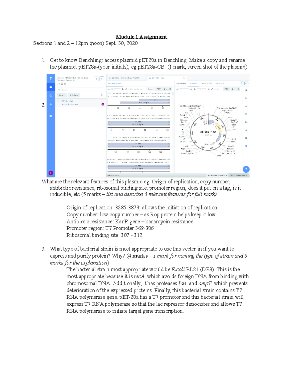 Module 1 Assignment - Module 1 Assignment Sections 1 and 2 – 12pm (noon ...