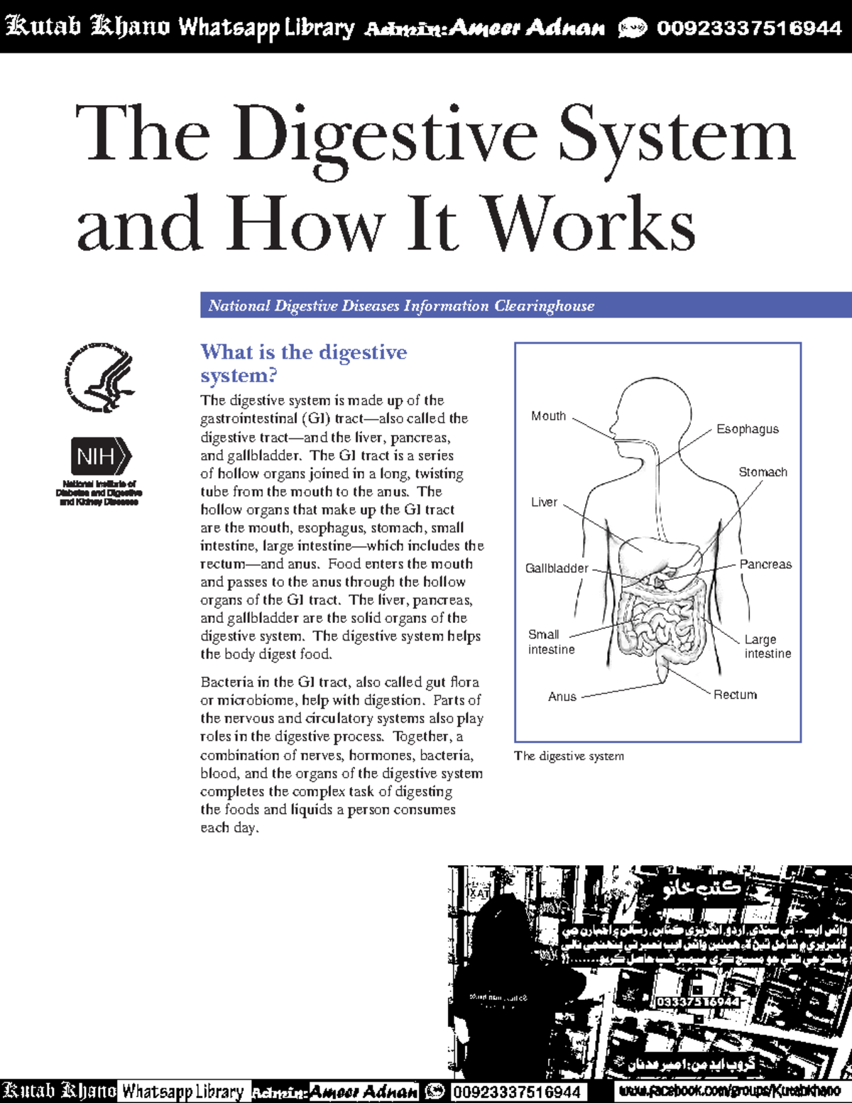 Digestive System - For more books please visit - The Digestive System ...