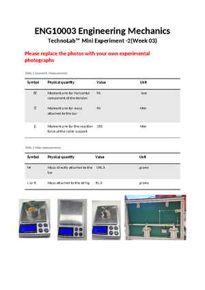 First report bridge research submission template 2024 v1-1 - Bridge ...