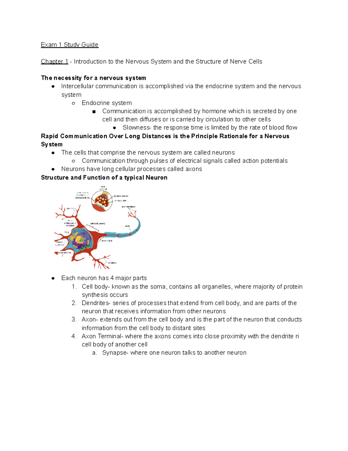 Exam 1 Study Guide - Summary Central Nervous Sys & Behavior - Exam 1 ...