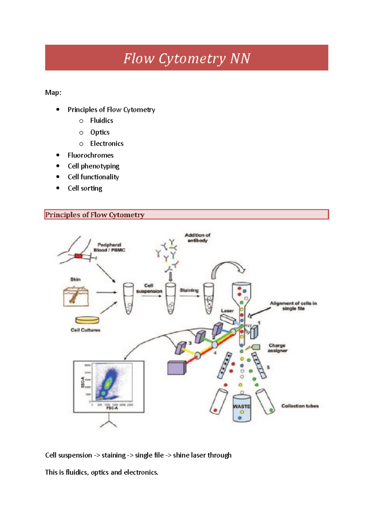 Flow Cytometry.... - Flow Cytometry NN Map: Principles of Flow ...