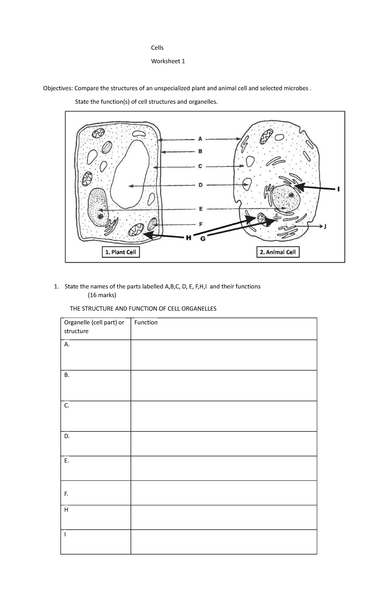 Kaela-Michele O'Connor - Cells-10HSB - Cells Worksheet 1 Objectives ...