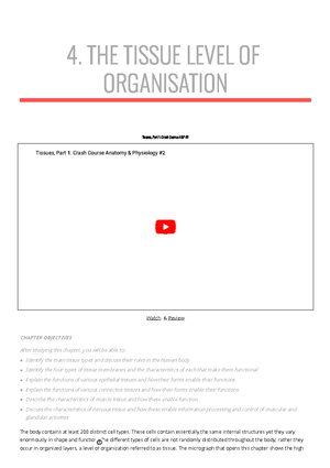 A&P - 4.4 Epithelial Tissue - 4 EPITHELIAL TISSUE Tissues, Part 2 ...