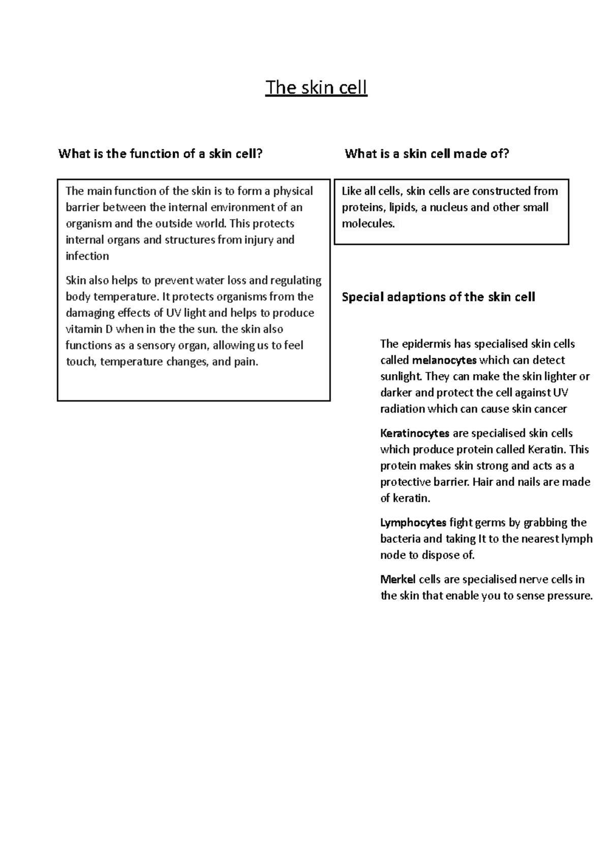 Biology cells prep - hghmnvjh - The skin cell What is the func琀椀on of a ...