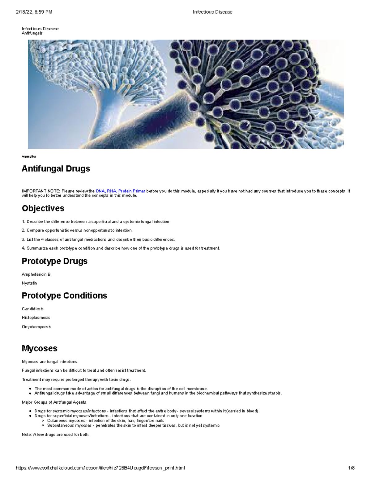 Infectious Disease 6 lecture notes for pathopharmacology - Infectious ...
