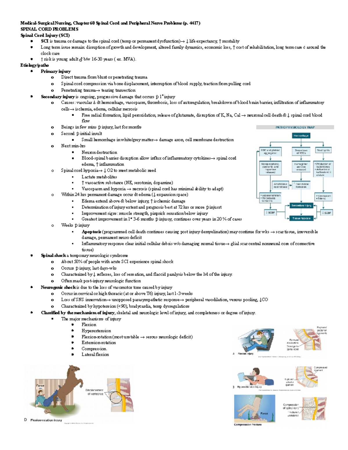N480 ch 60 notes - Medical-Surgical Nursing, Chapter 60 Spinal Cord and ...