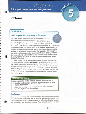 ORGO CHP12 PT2 - Lectures notes for Organic Chemistry 2, chapter 12 ...
