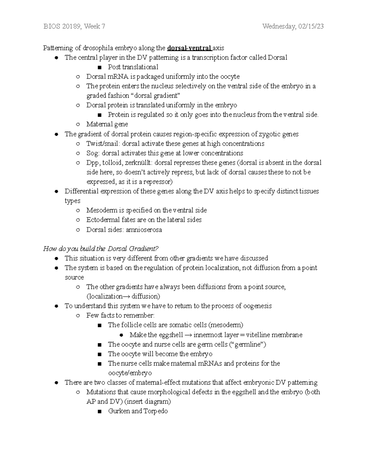 DV Patterning Lecture Notes - Patterning of drosophila embryo along the ...