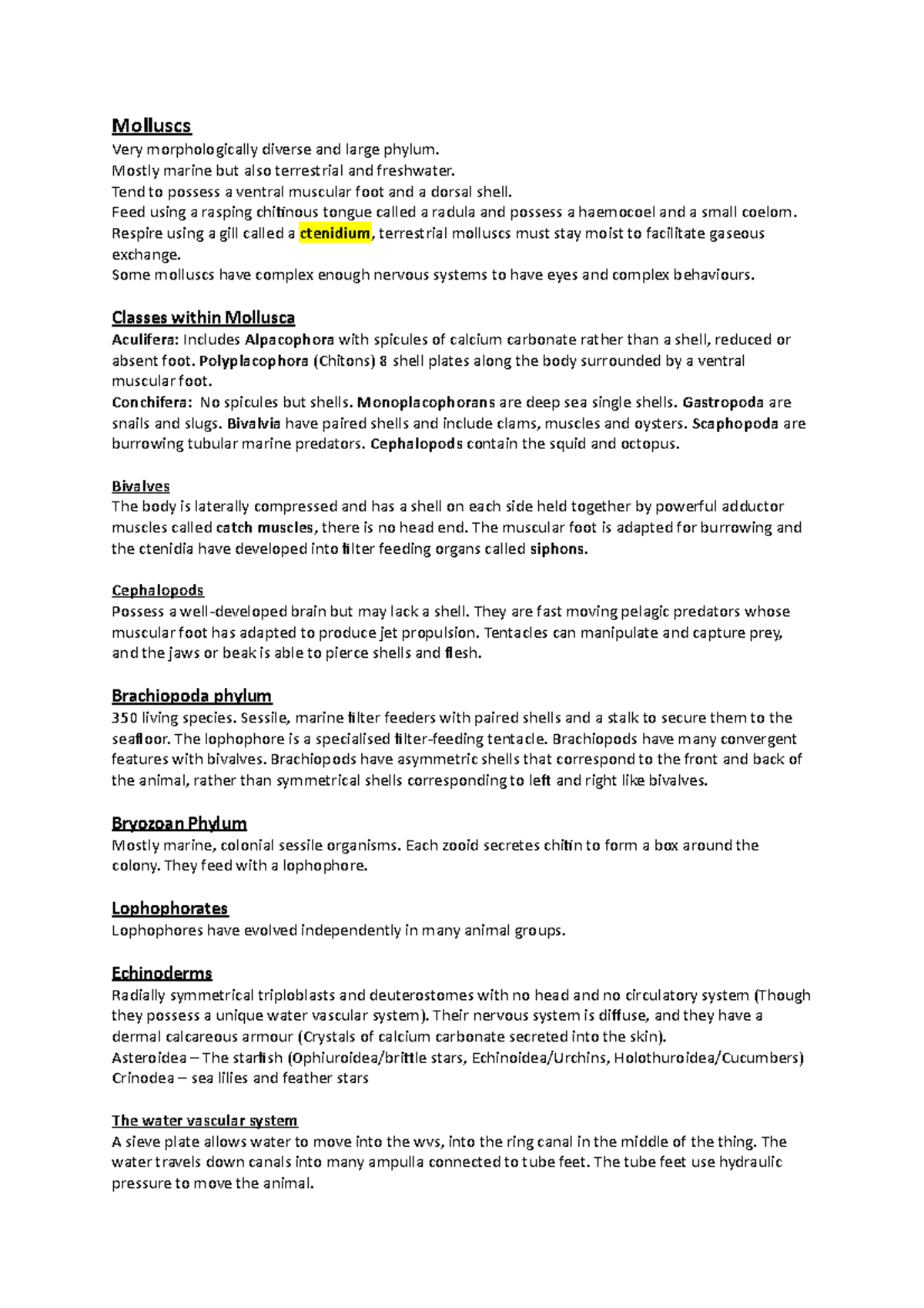 08 - Molluscs and minor phyla - Molluscs Very morphologically diverse ...