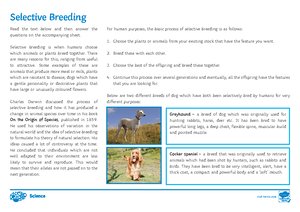 Selective Breeding Reading Comprehension Lower Ability - Selective ...