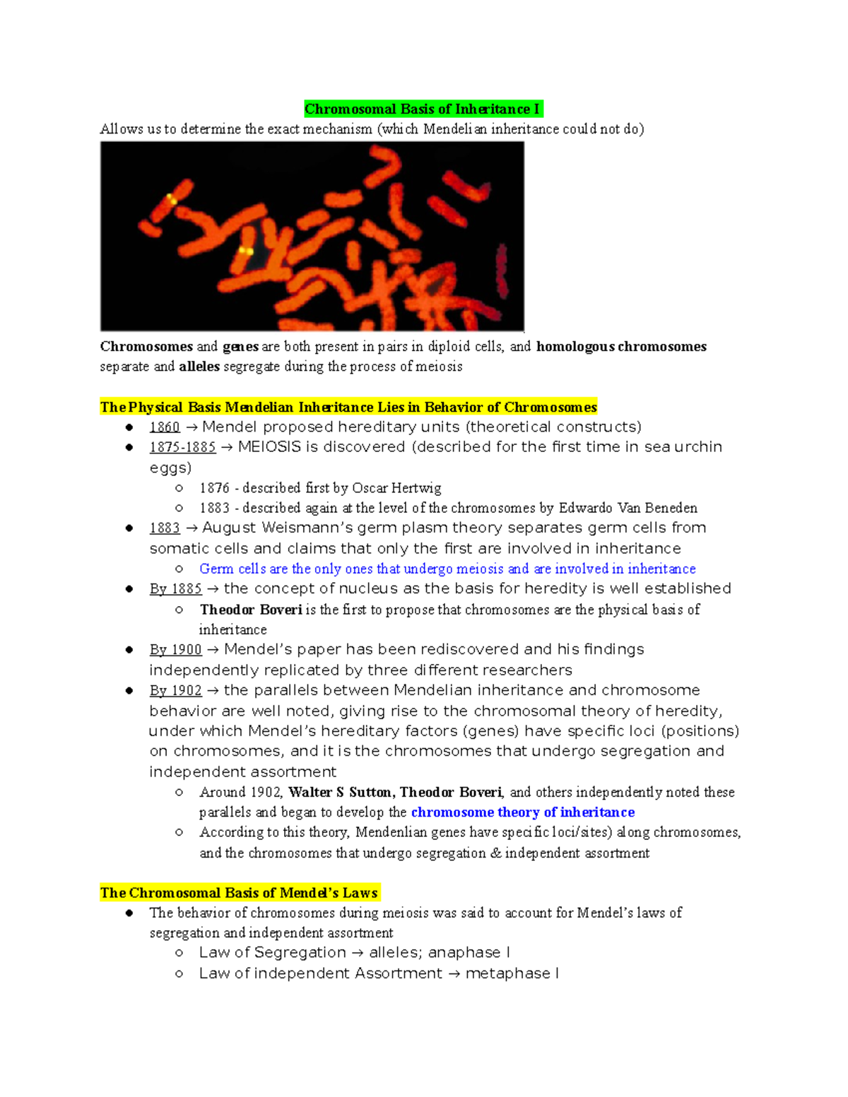 Lecture 20 Chromosomal Inheritance Part One Chromosomal Basis Of Inheritance I Allows Us To