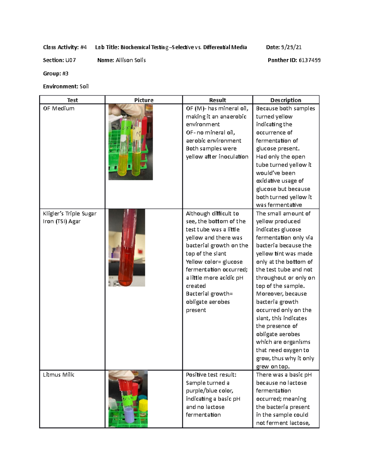 Biochemical Testing vs. Differential Media in Lab Activity - Studocu