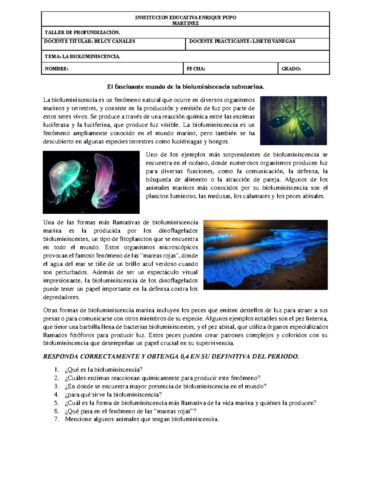 El fascinante mundo de la bioluminiscencia submarina - INSTITUCION ...