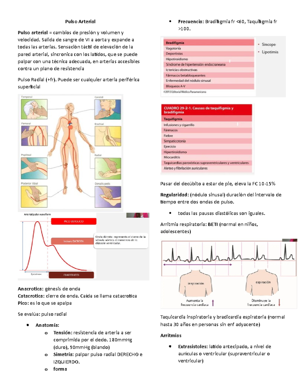 3 - Pulso Arterial, Tension Arterial - Pulso Arterial Pulso arterial ...