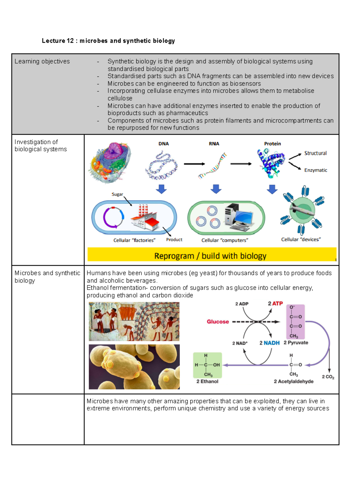 Microbiology lectures second half - Lecture 12 : microbes and synthetic ...