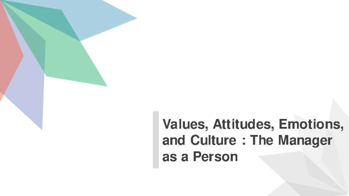 Values, Attitudes, Emotions, and Culture The Manager as a Person ...